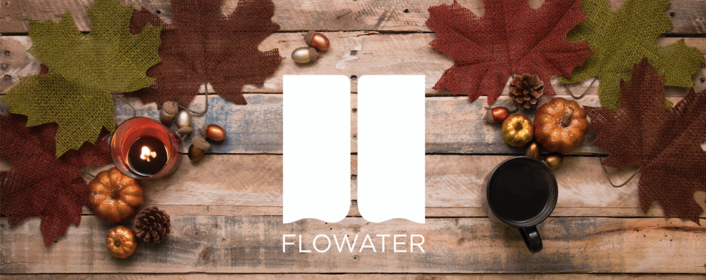 Make the Most of Thanksgiving With These Hydration Tips - FloWater